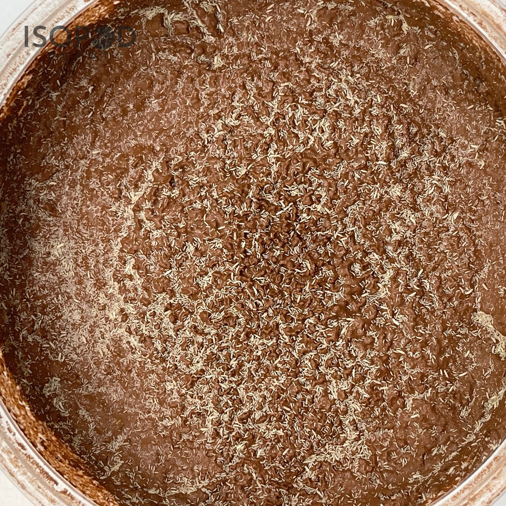 Master Temperate Springtails On Calcium Bearing Clay – Isopod Depot